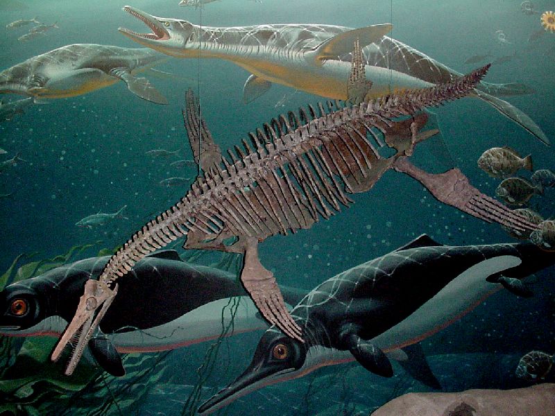 Something about Pliosaurs