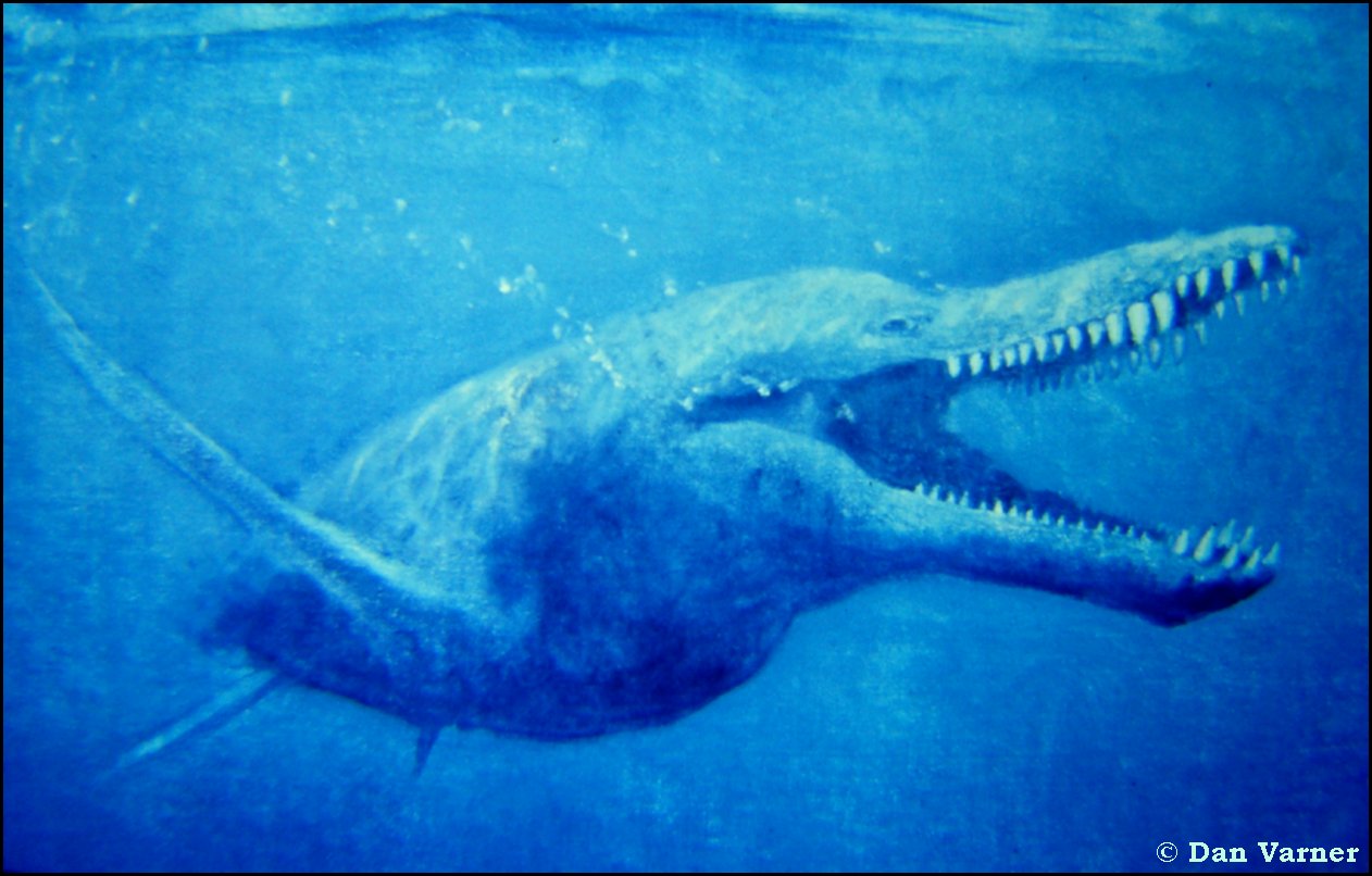 Dan Varner Paleo-Life Art