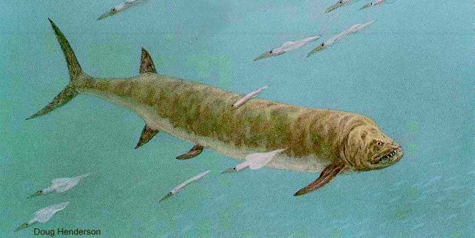 美图：白垩纪的海洋_鲨鱼吧_百度贴吧